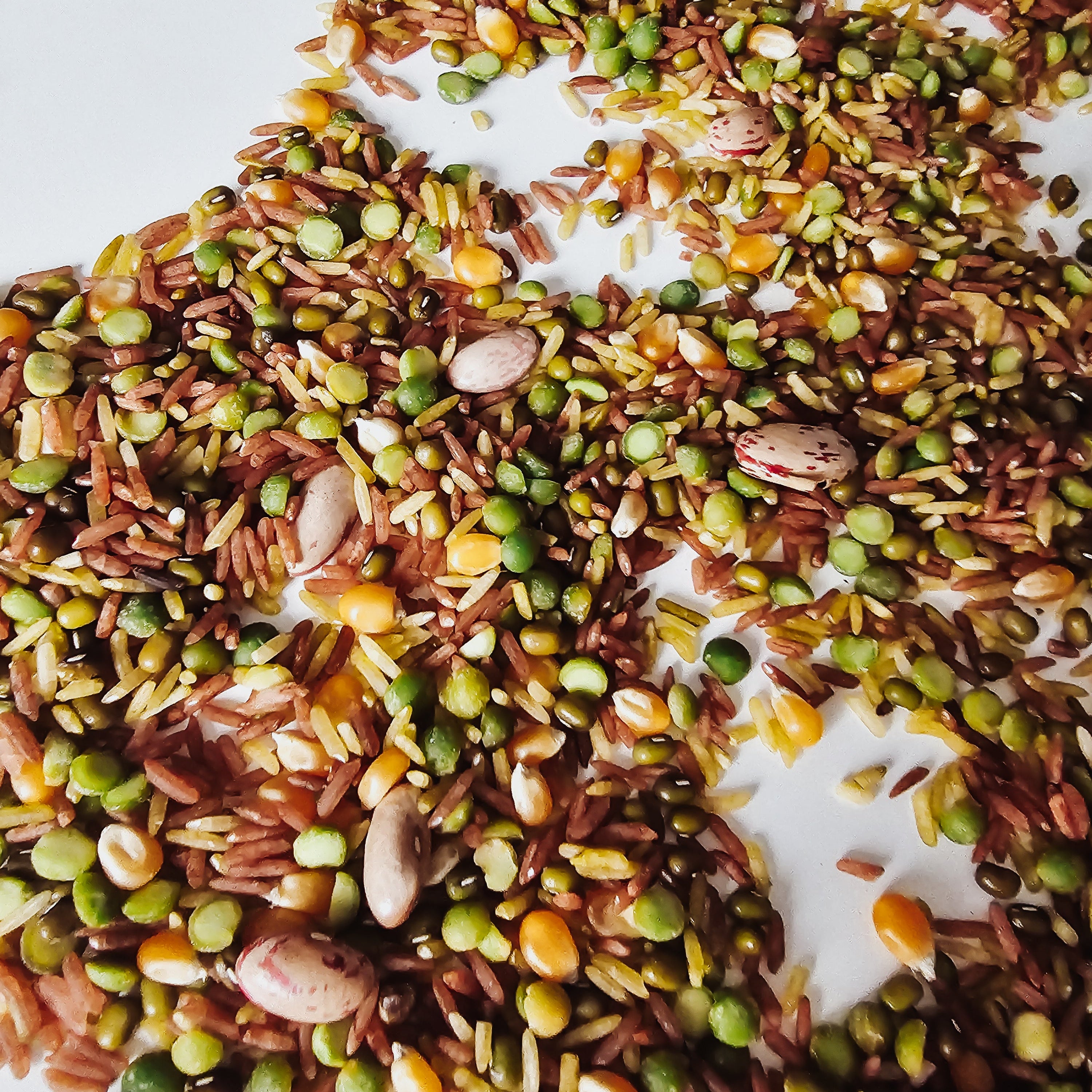 Bushland Mix – Messy Magic by Jess