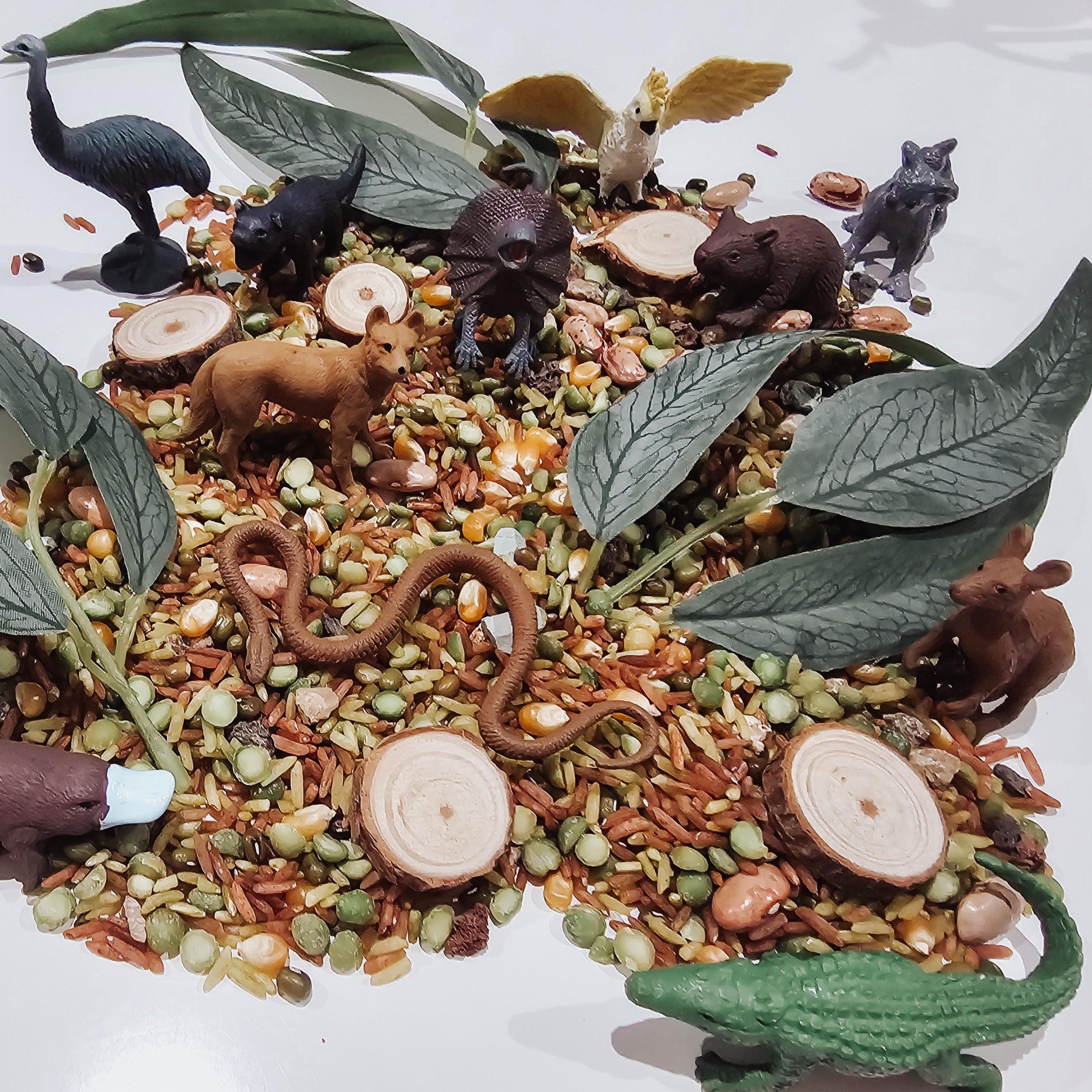 Australiana – Messy Magic by Jess